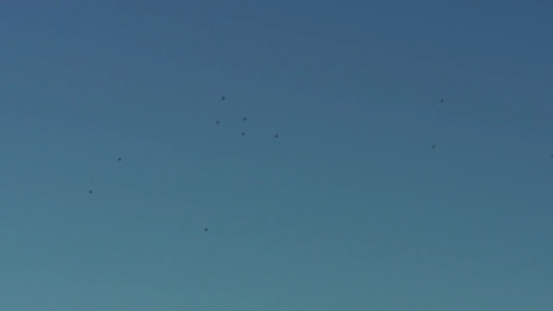 From Drone Swarms to Smart Data, Pentagon Eyes A.I. | Military.com